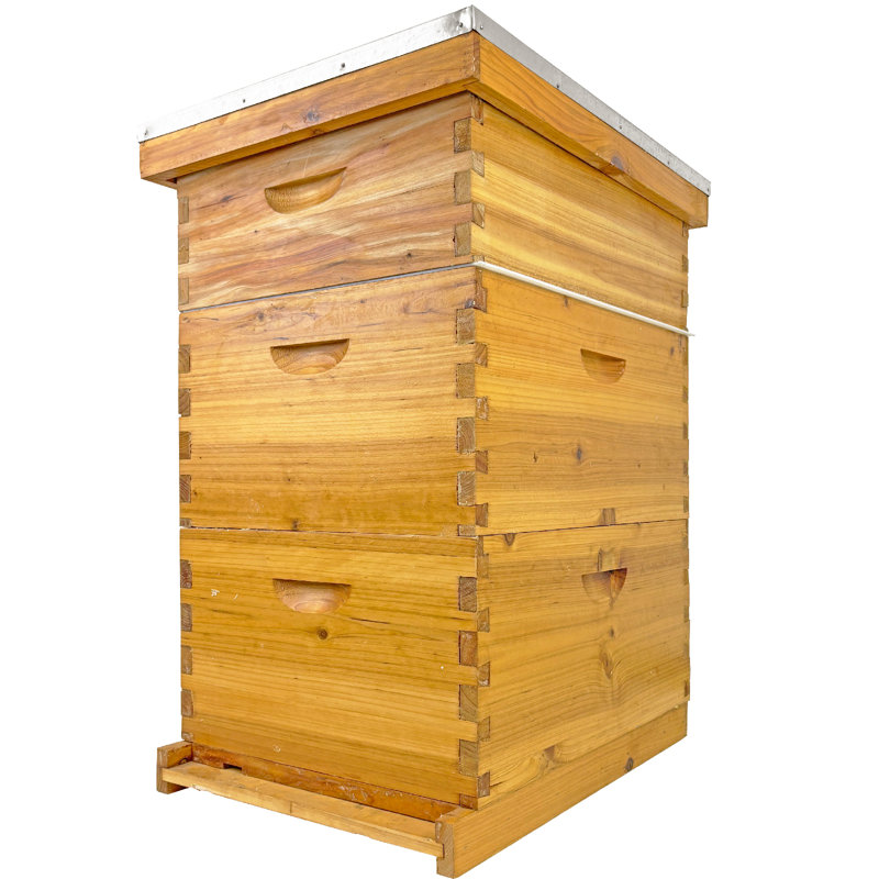 Millwood Pines 3 Layers Beehive Complete Box Kit Langstroth Beekeeping 2 Deep And 1 Medium | Wayfair